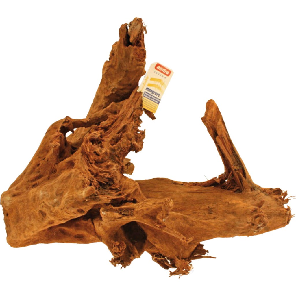 Amtra Les mangrove - Olibetta spletna trgovina