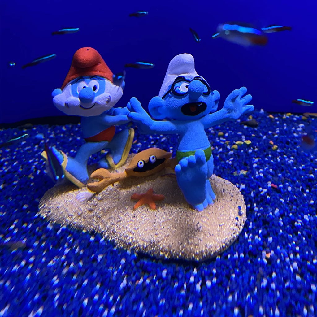 Europet Puffi in Spiaggia - Grande Puffo e Quattrocchi - Olibetta Italia