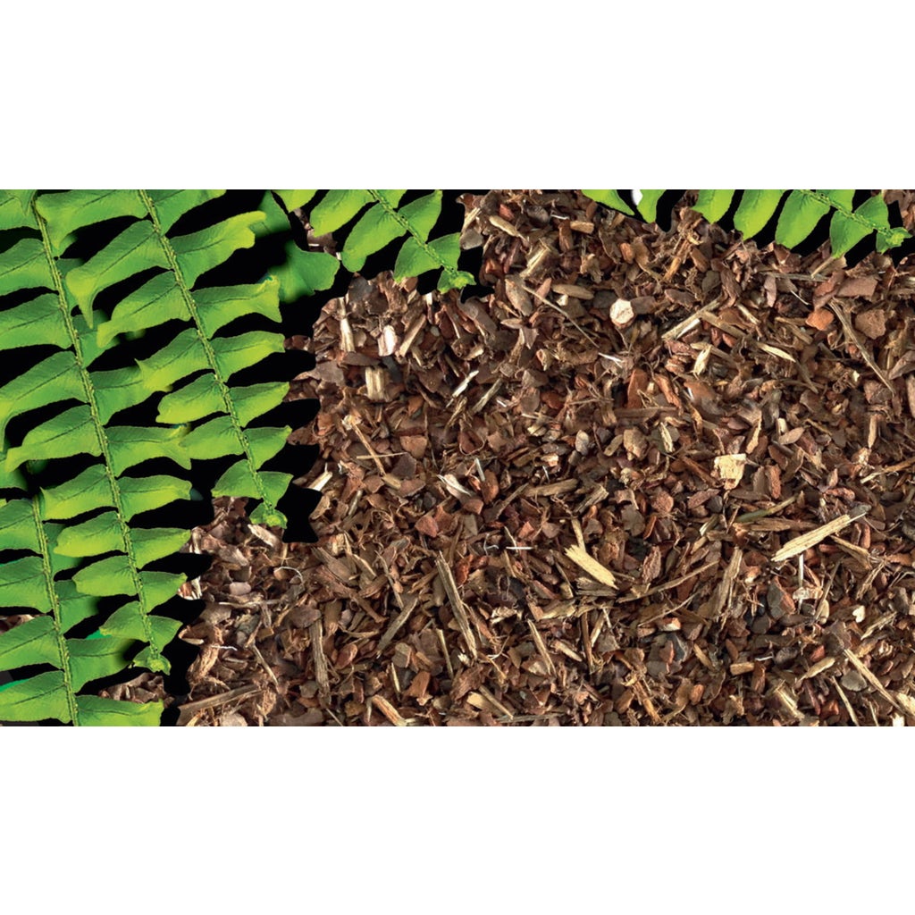 Exo Terra Jungle Earth Terrarium Substrate - Olibetta Online Shop