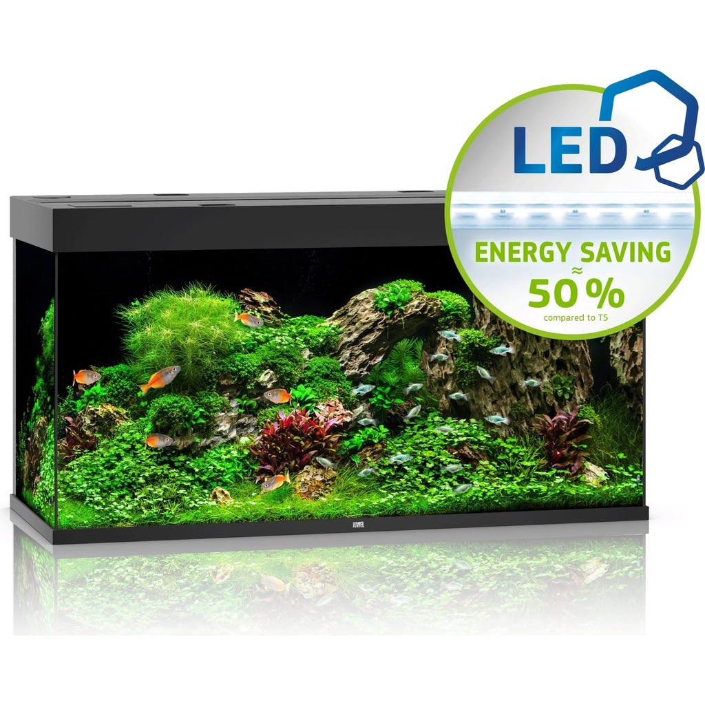 Juwel Rio 350 LED Aquarium - Olibetta Online Shop